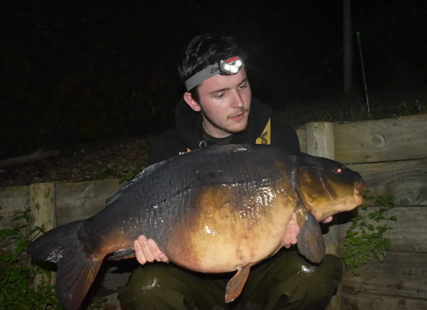 The hunt | Total Carp